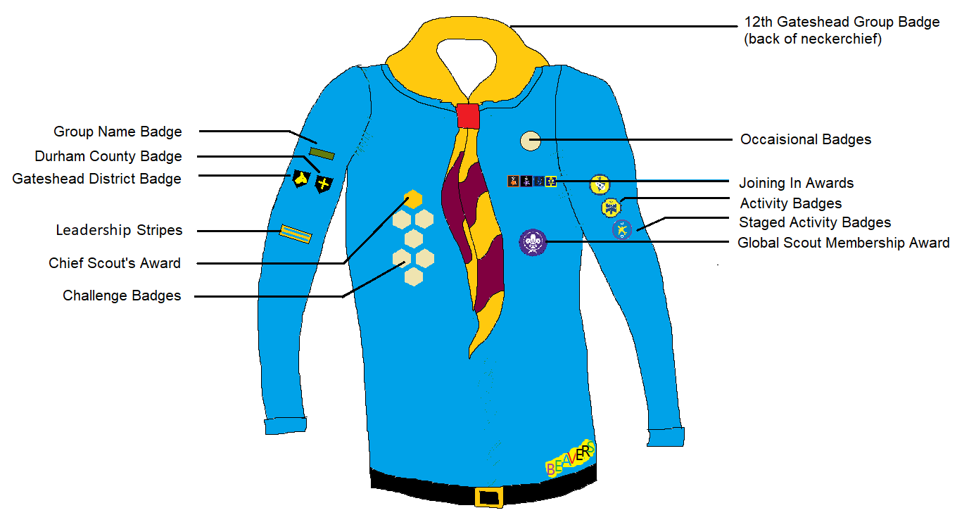 Beavers – 12th Gateshead Scouts